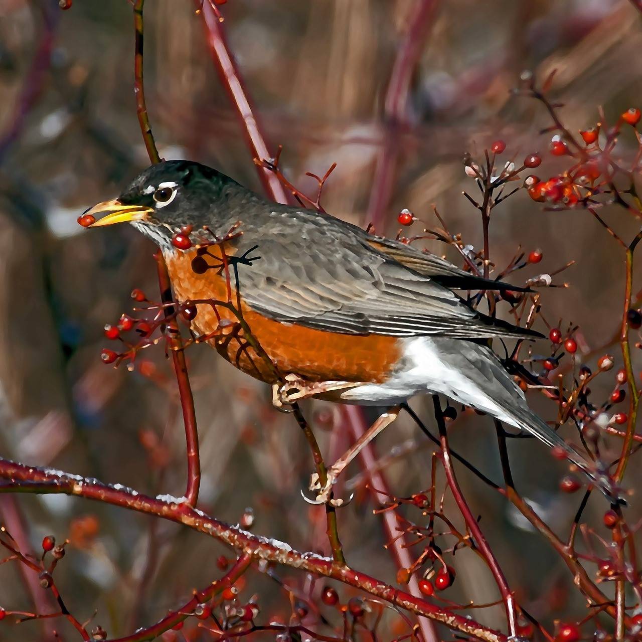 Environmental Learning Centers of Connecticut