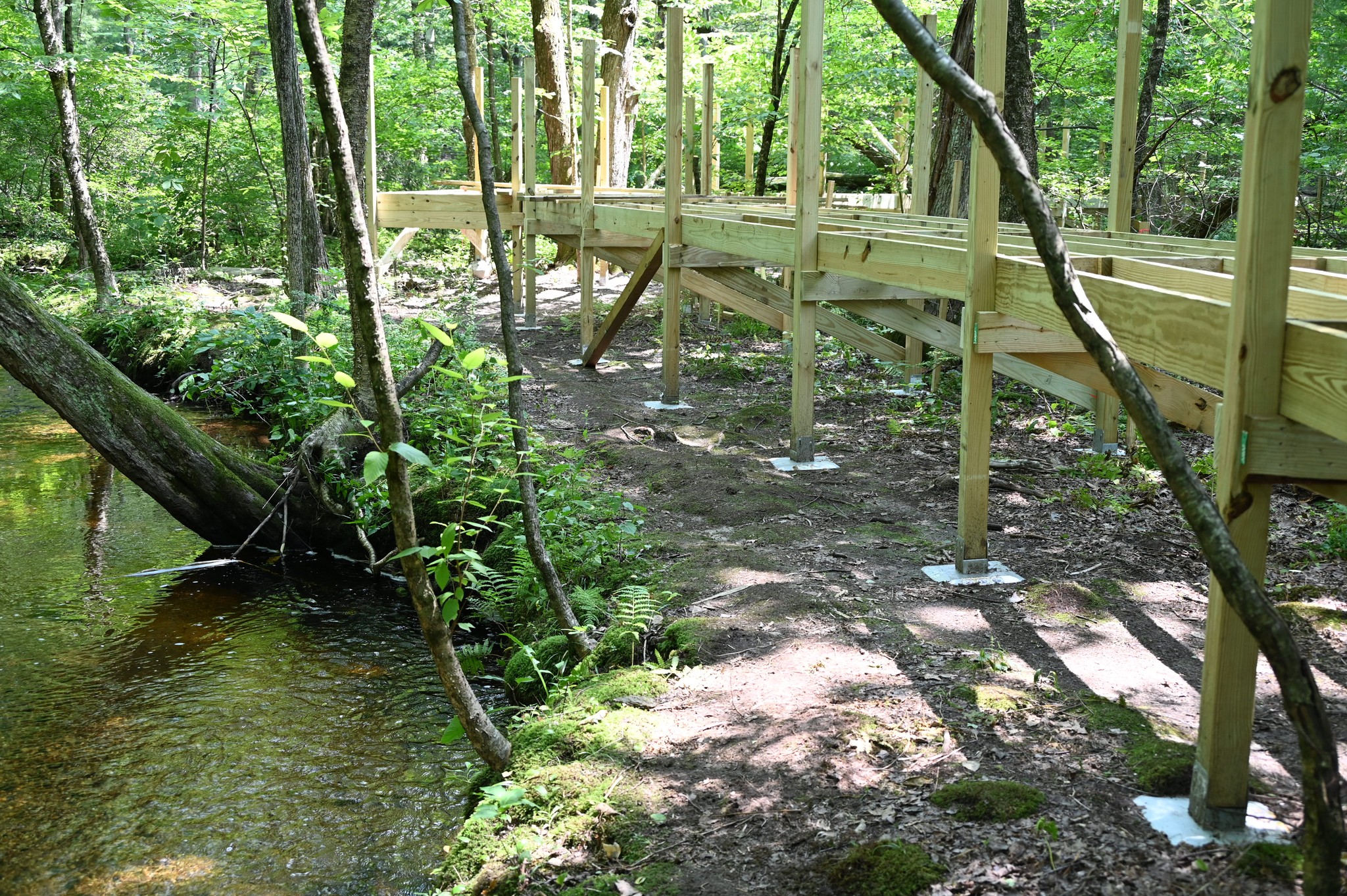 “The Wallace Barnes Nature Trail” – Environmental Learning Centers of ...