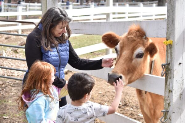 Indian Rock Nature Preserve – Environmental Learning Centers of Connecticut