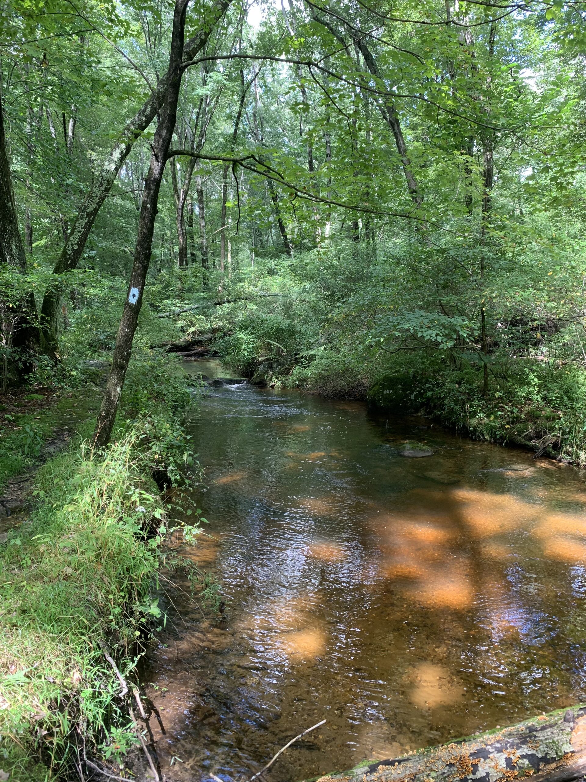 Hiking Trails Guide – Environmental Learning Centers of Connecticut