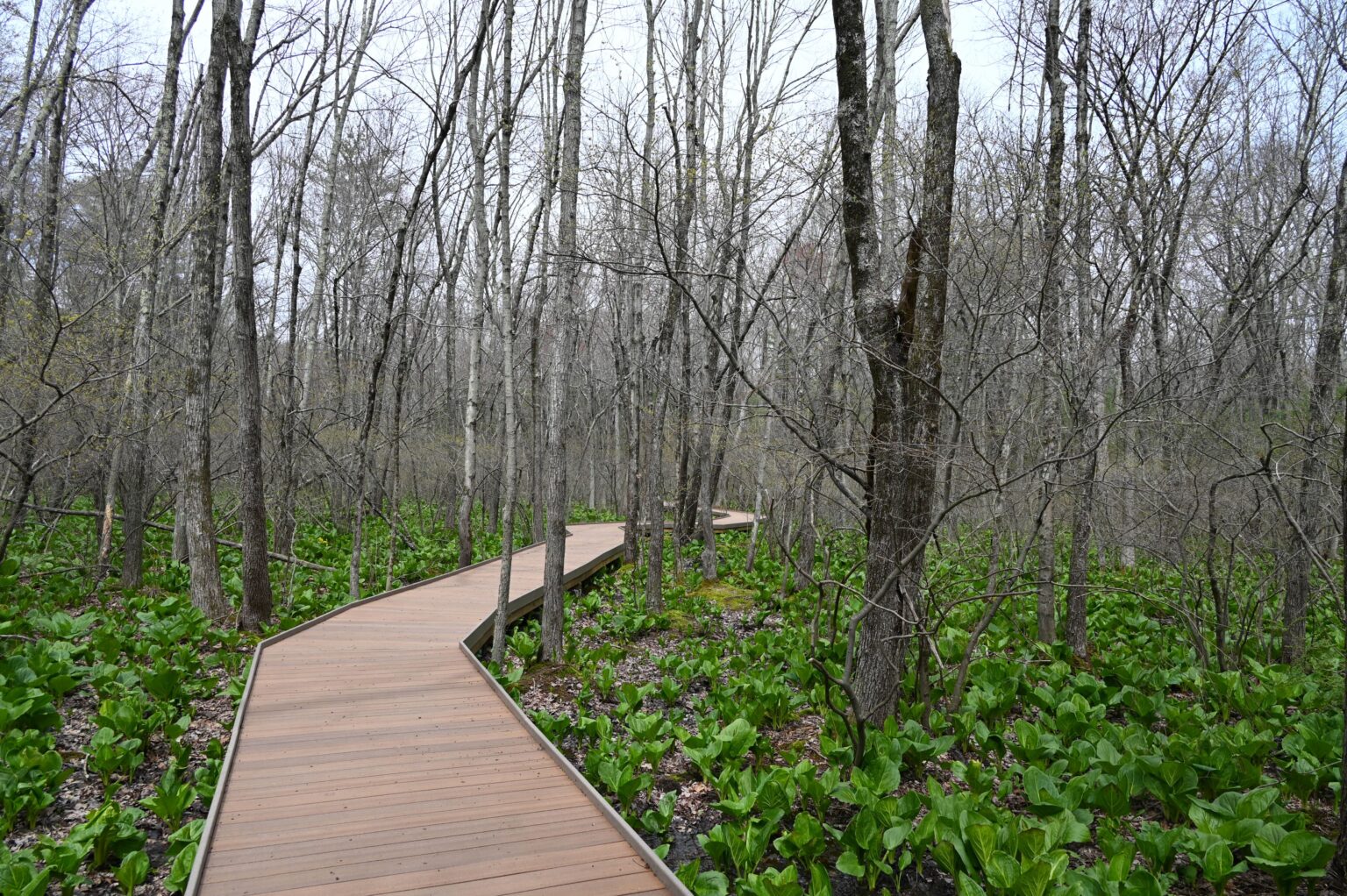 “The Wallace Barnes Nature Trail” – Environmental Learning Centers of ...
