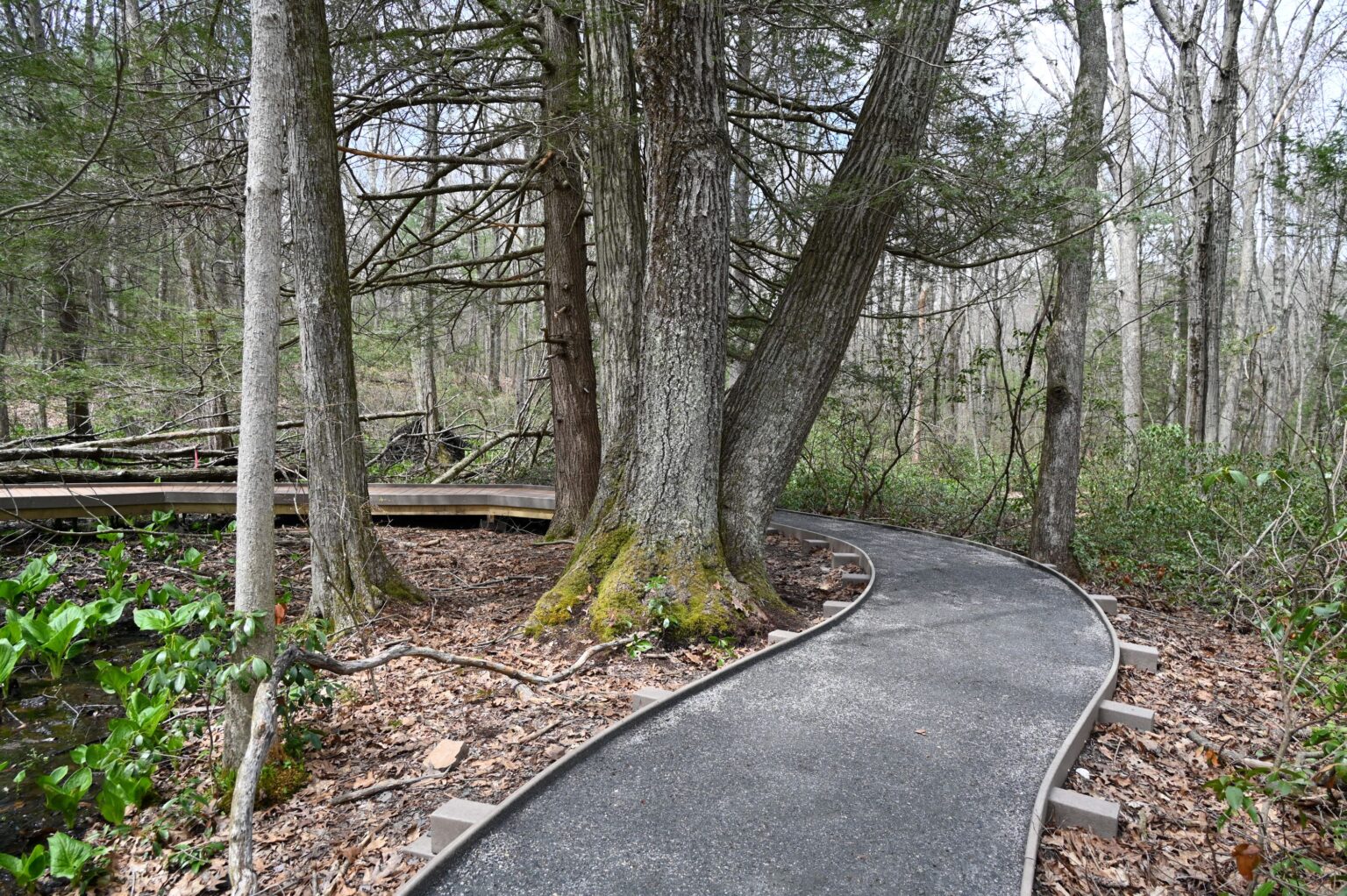 “The Wallace Barnes Nature Trail” – Environmental Learning Centers of ...