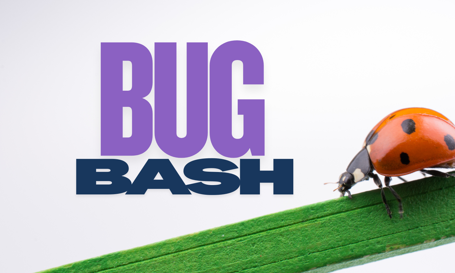 Back to School Bug Bash @ Barnes Nature Center – Environmental Learning Centers of Connecticut